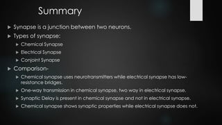Chemical and electrical synapse | PPTX
