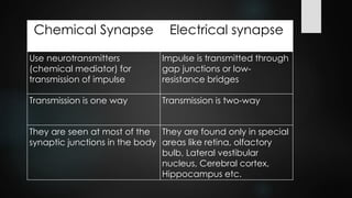 Electrical Vs Chemical Synapse