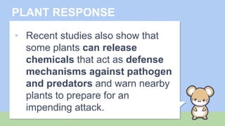 Chemical and nervous control | PPTX
