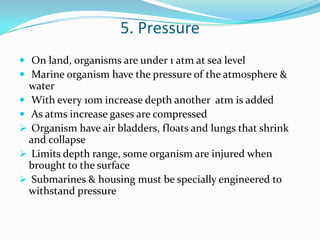 Chemical and physical features of seawater and the | PPTX