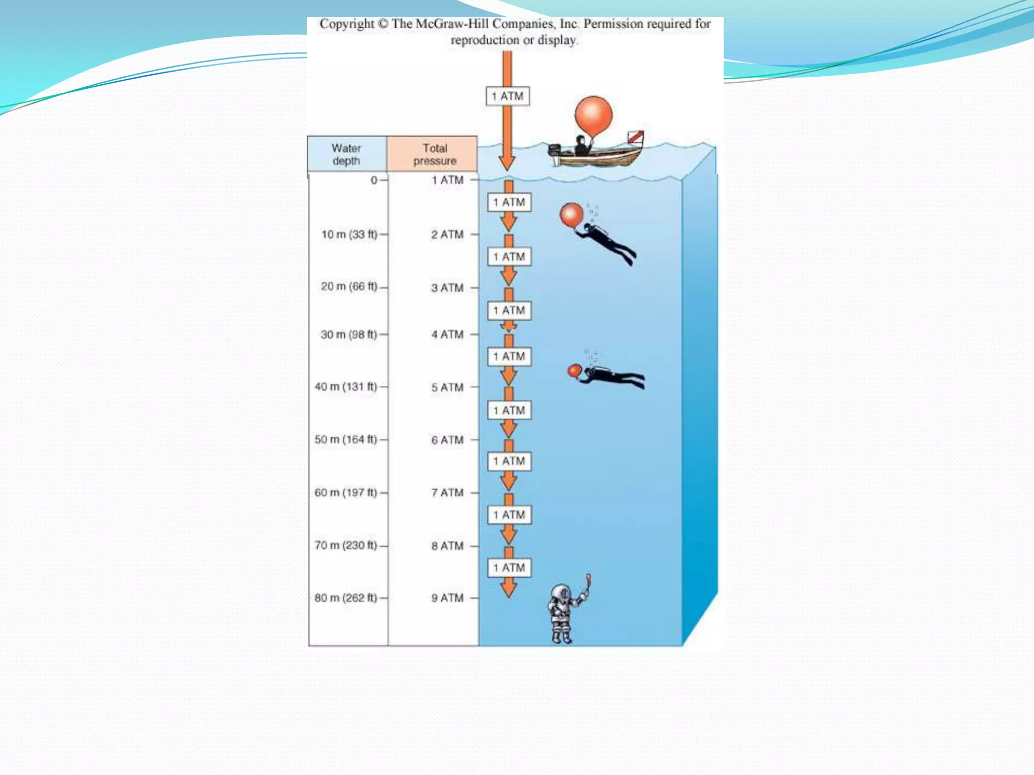 Chemical and physical features of seawater and the | PPTX