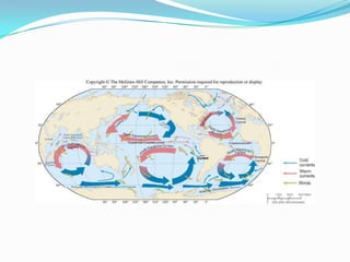 Chemical and physical features of seawater and the | PPTX