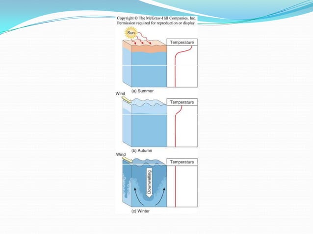 Chemical and physical features of seawater and the | PPTX | Chemistry ...