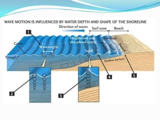 Chemical and physical features of seawater and the | PPTX