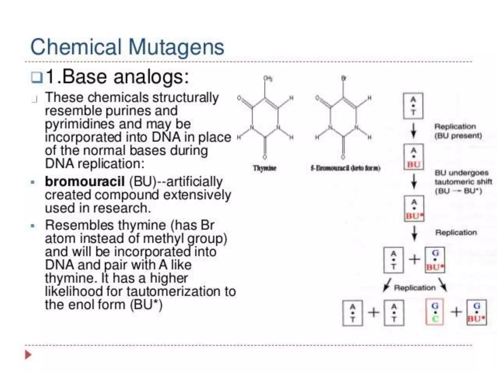 Chemical aspects of mutagens 1-1 | PPTX