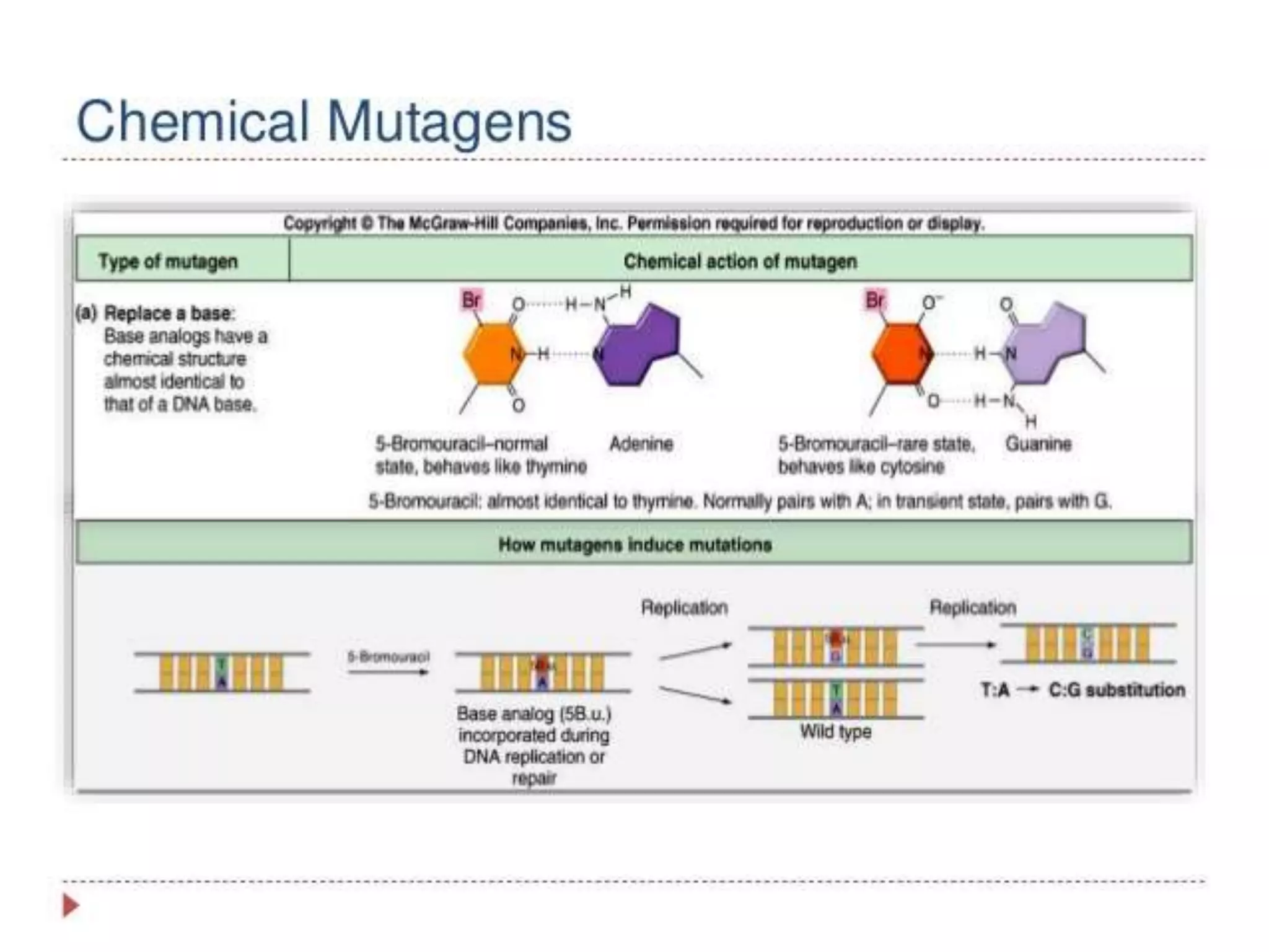 Chemical aspects of mutagens 1-1 | PPTX