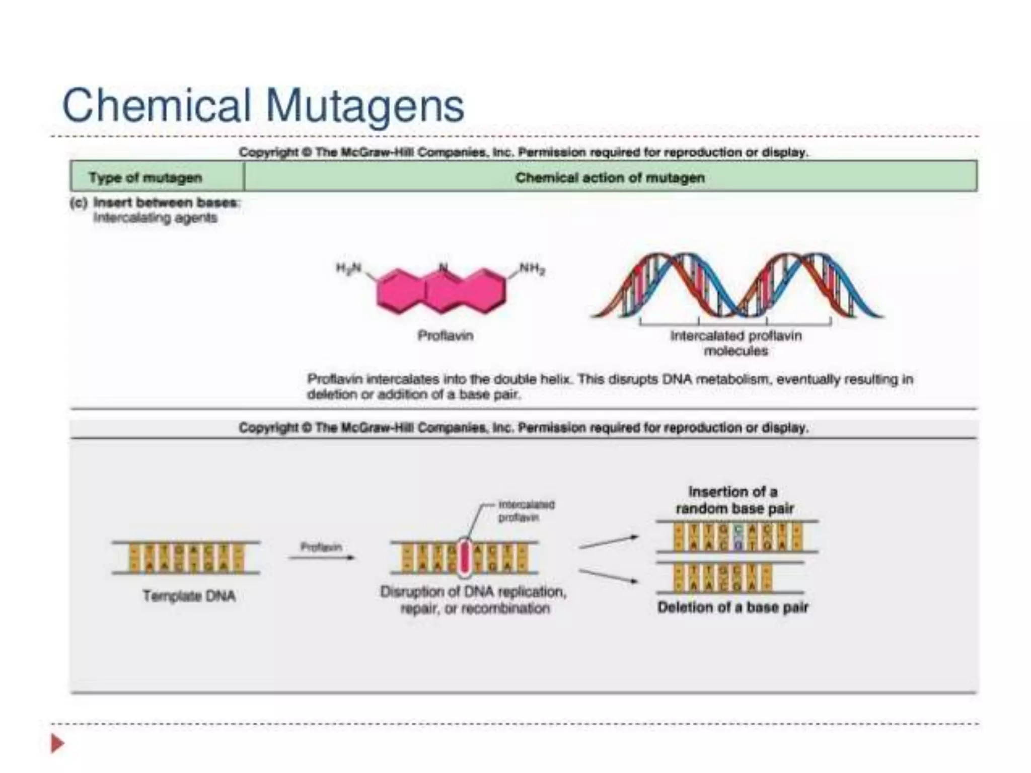 Chemical aspects of mutagens 1-1 | PPTX