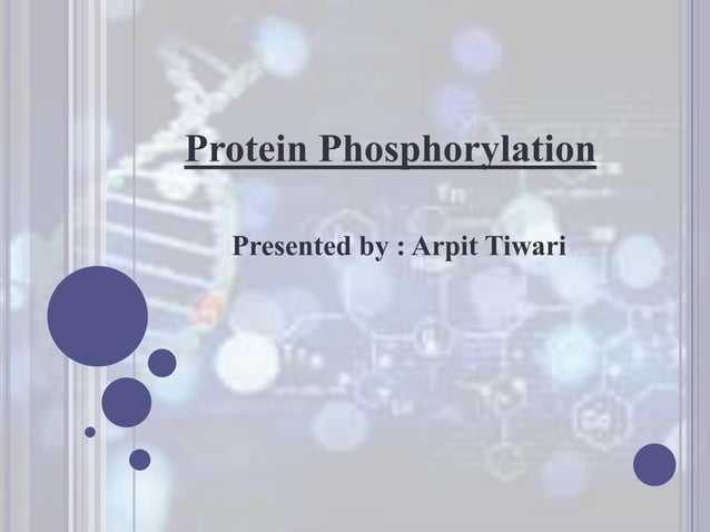 protein phosphorylation | PPTX | Endocrine and Metabolic Diseases | Diseases and Conditions