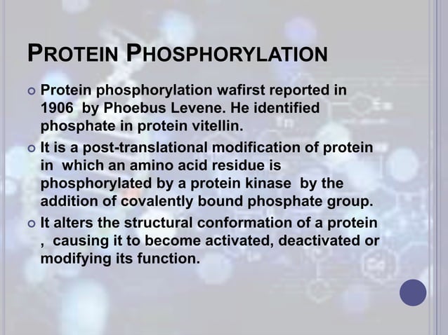 protein phosphorylation | PPTX | Endocrine and Metabolic Diseases | Diseases and Conditions
