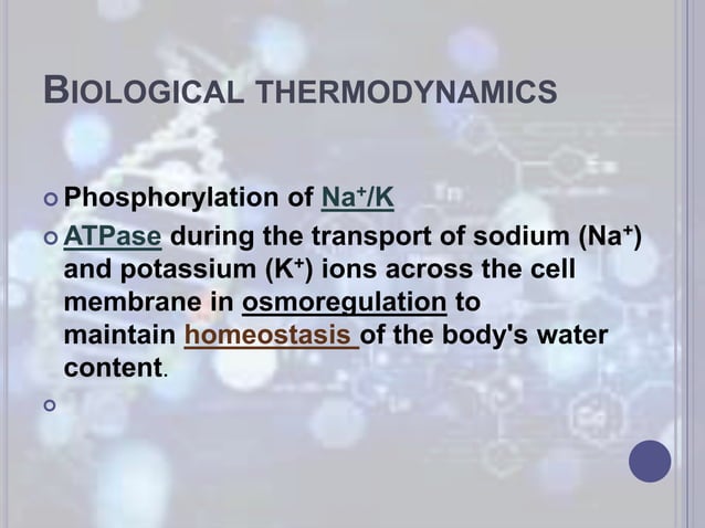 protein phosphorylation | PPTX | Endocrine and Metabolic Diseases | Diseases and Conditions