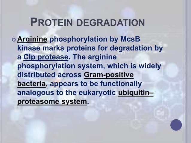 protein phosphorylation | PPTX | Endocrine and Metabolic Diseases | Diseases and Conditions