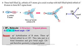 Hybridization-1 | PPTX
