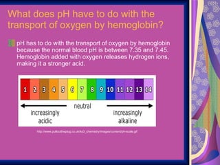 Chemical Bonding Power Point | PPT