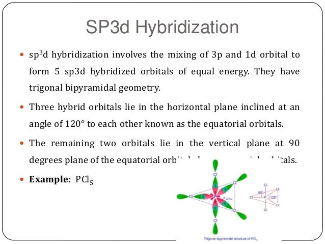 Chemical bonding shape of the molecule