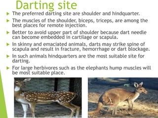 chemical capturing anisha.pptx