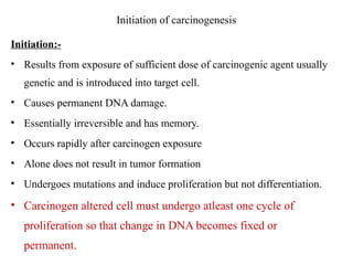 CHEMICAL CARCINOGENESIS PATHOLOGY IM.pptx