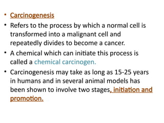 Chemical Carcinogenesis Pathophysiology with Experimental Models | PPTX