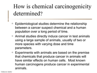 Chemical Carcinogens | PPT