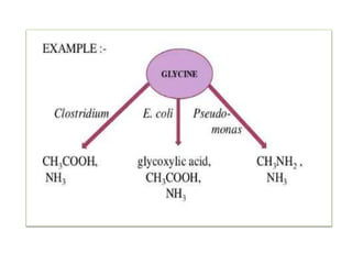 Chemical changes caused by microorganisms in foods | PPTX