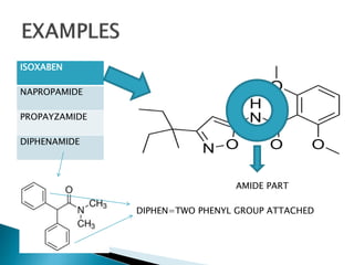 Chemical classification of herbicides | PPTX
