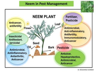 Chemical Components of IPM.pptx