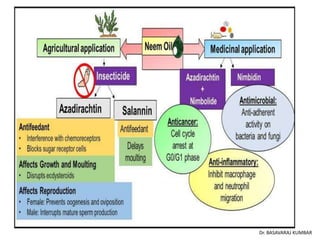 Chemical Components of IPM.pptx