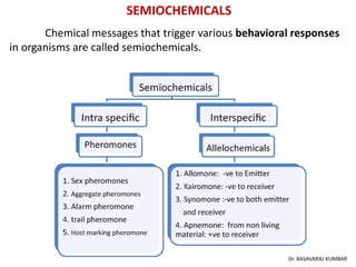 Chemical Components of IPM.pptx