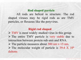 Chemical composion of virus | PPTX