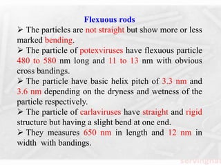 Chemical composion of virus | PPTX