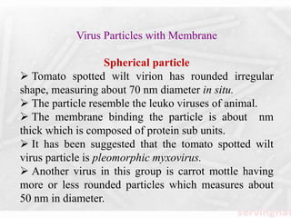 Chemical composion of virus | PPTX
