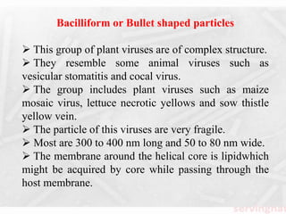 Chemical composion of virus | PPTX