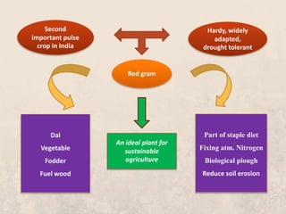 Chemical composition and nutritional quality of red gram | PPTX