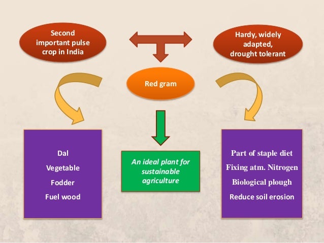 Chemical composition and nutritional quality of red gram