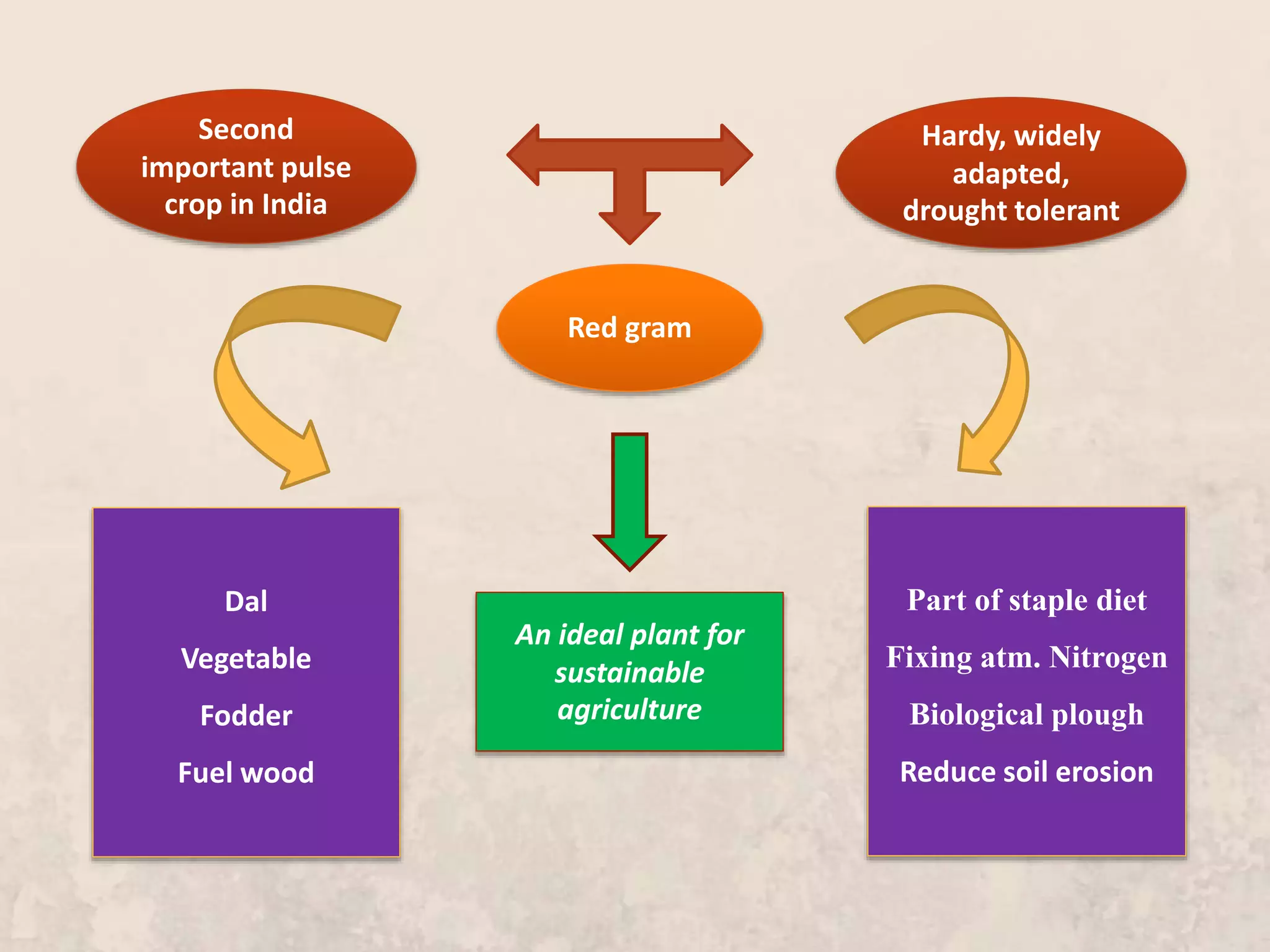 Chemical composition and nutritional quality of red gram | PPTX