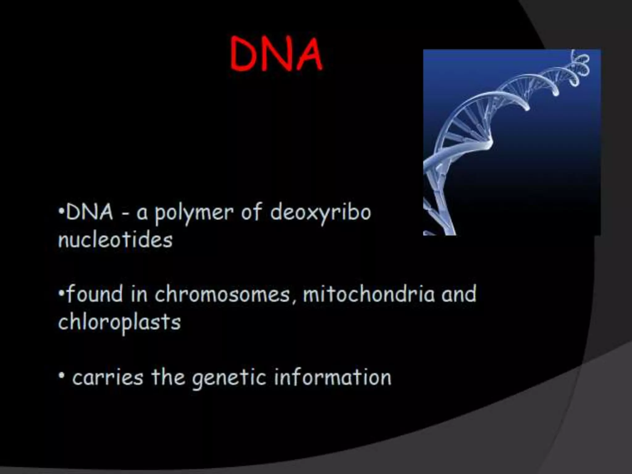 Chemical composition and structure of dna | PPTX