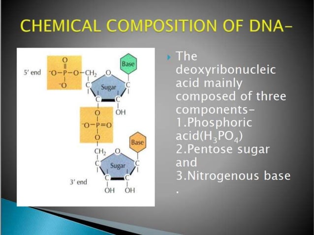Chemical composition and structure of dna | PPTX