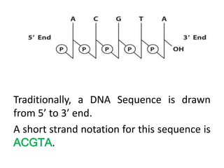Chemical composition and structure of dna | PPTX