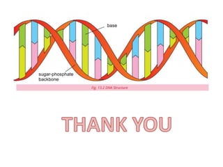Chemical composition and structure of dna | PPTX