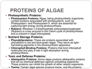 Chemical Composition of micro and macro Algae | PPTX