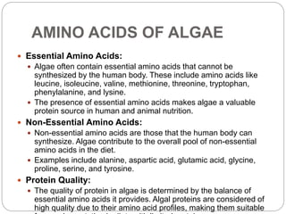 Chemical Composition of micro and macro Algae | PPTX