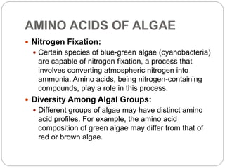 Chemical Composition of micro and macro Algae | PPTX
