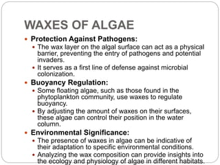 Chemical Composition of micro and macro Algae | PPTX