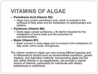 Chemical Composition of micro and macro Algae | PPTX