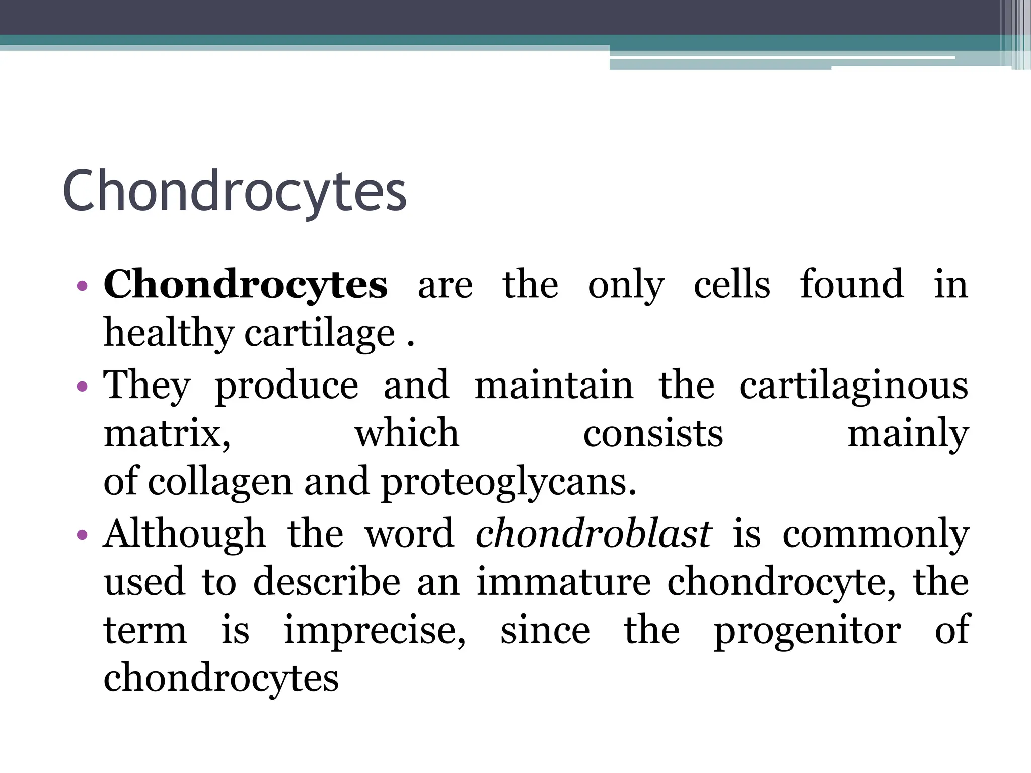 Chemical composition of cartilage I course.pdf