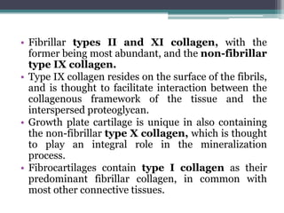 Chemical composition of cartilage I course.pdf