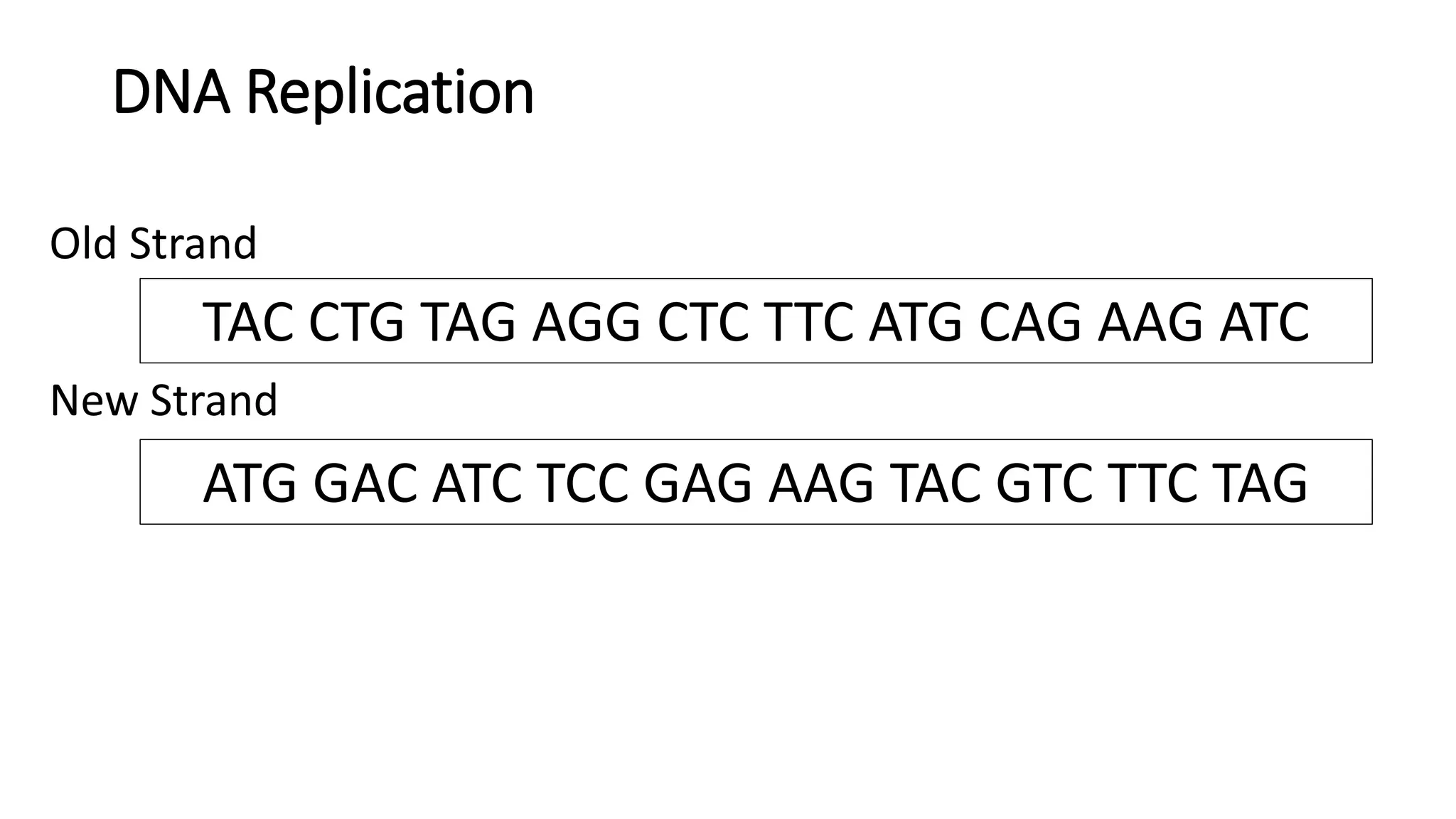 Chemical composition of dna | PPTX