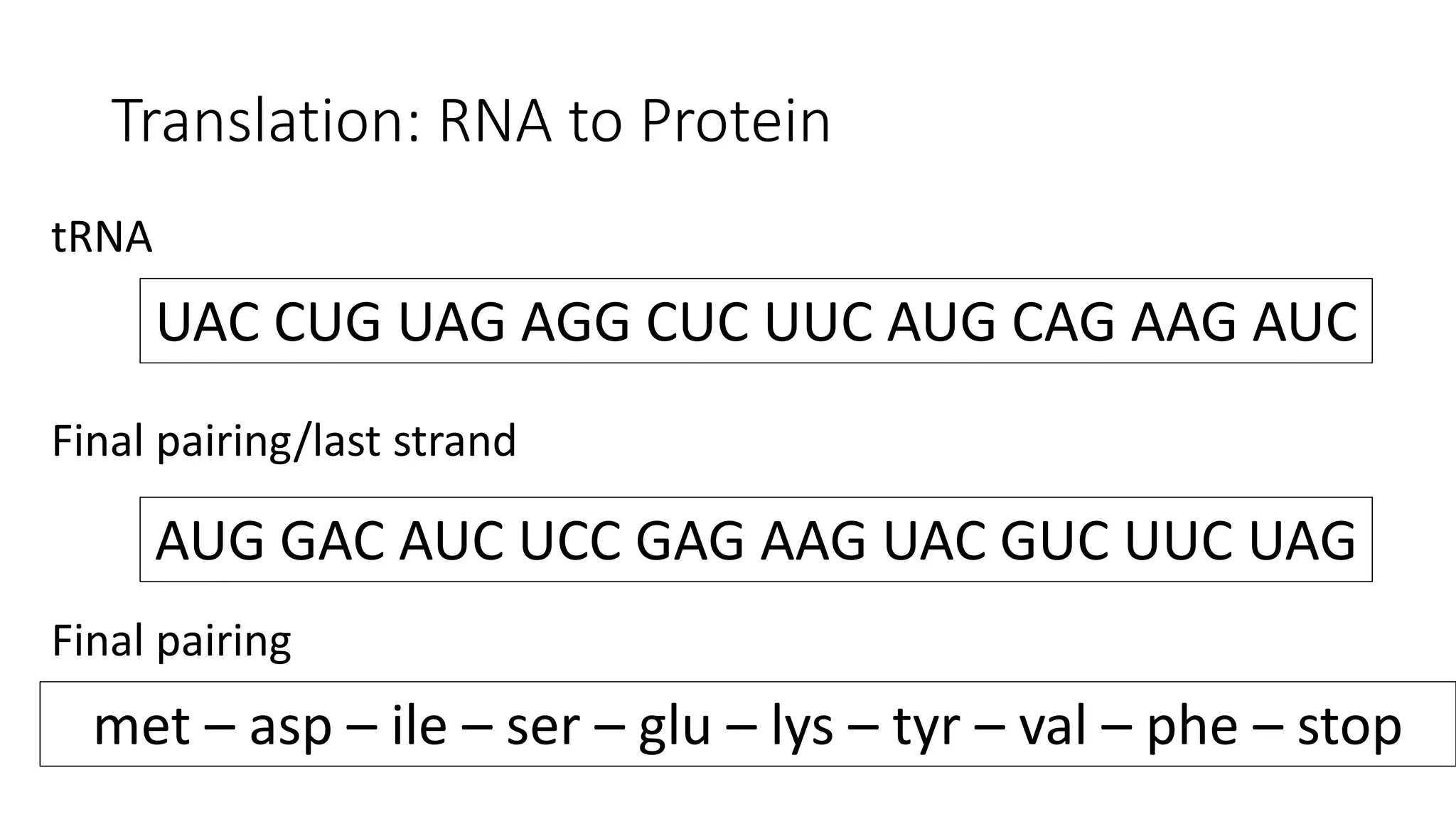 Chemical composition of dna | PPTX