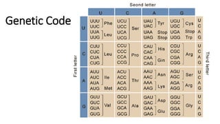 Chemical composition of dna | PPTX