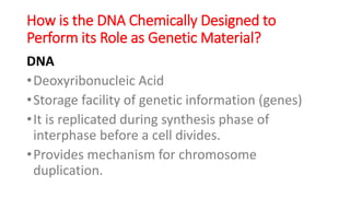 Chemical composition of dna | PPTX