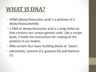 Chemical composition of dna | PPTX | Chemistry | Science